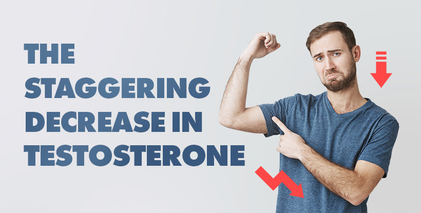 The Staggering Decrease in Testosterone – Gains in Bulk